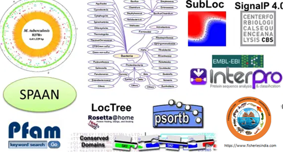 Tools and Applications of bioinformatics in fisheries science ...
