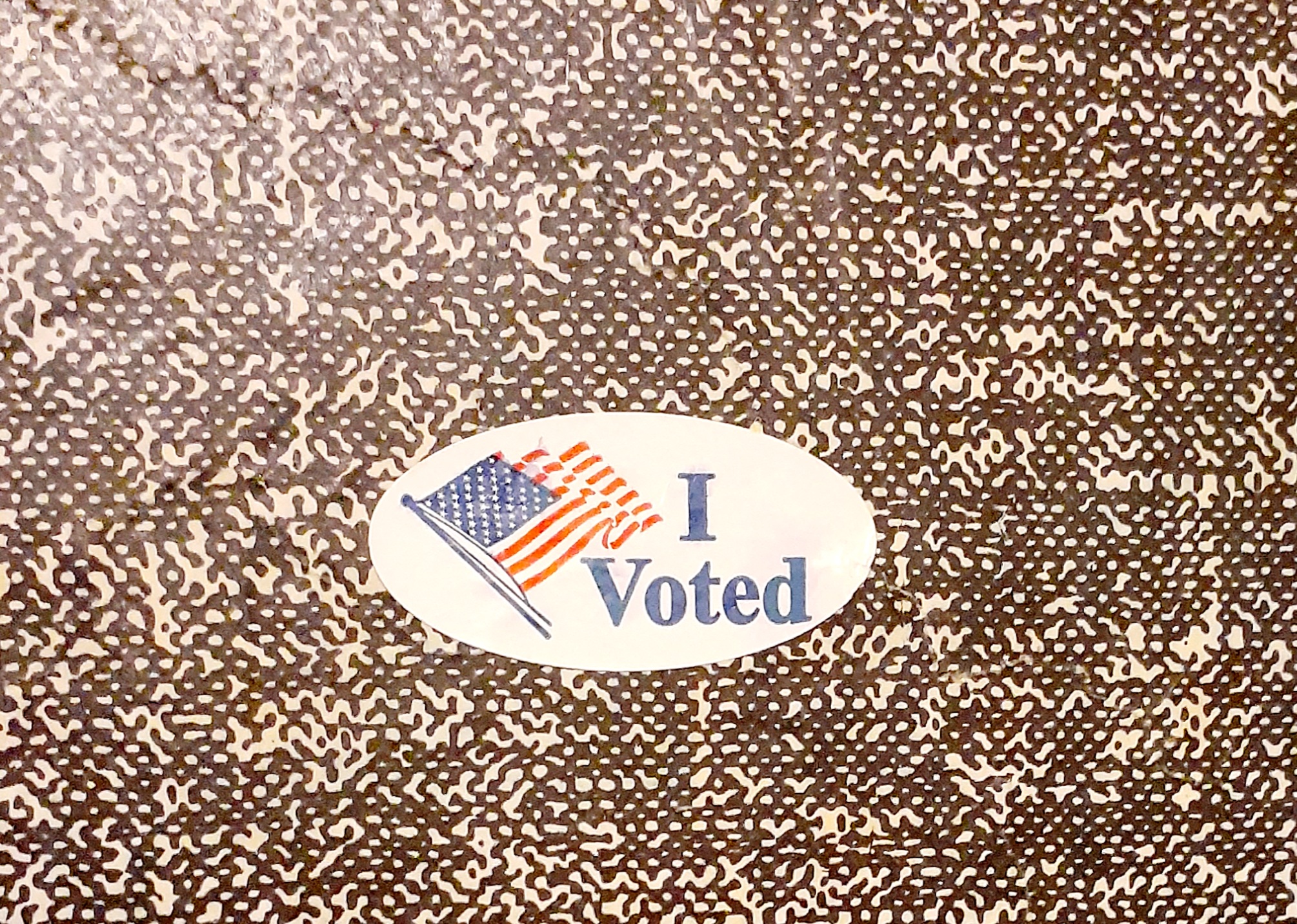 Go Vote go-vote