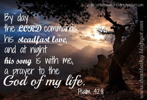 Dana Bailey: Scripture Meme's