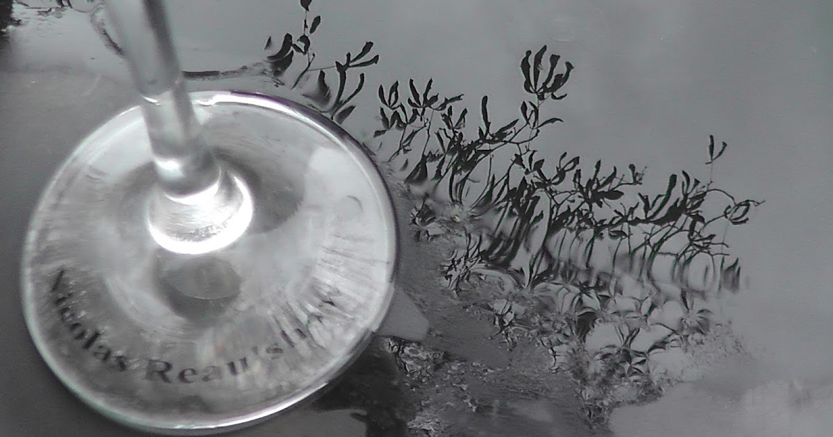 Sapristi Balthazar: L'art de picoler à travers les siècles