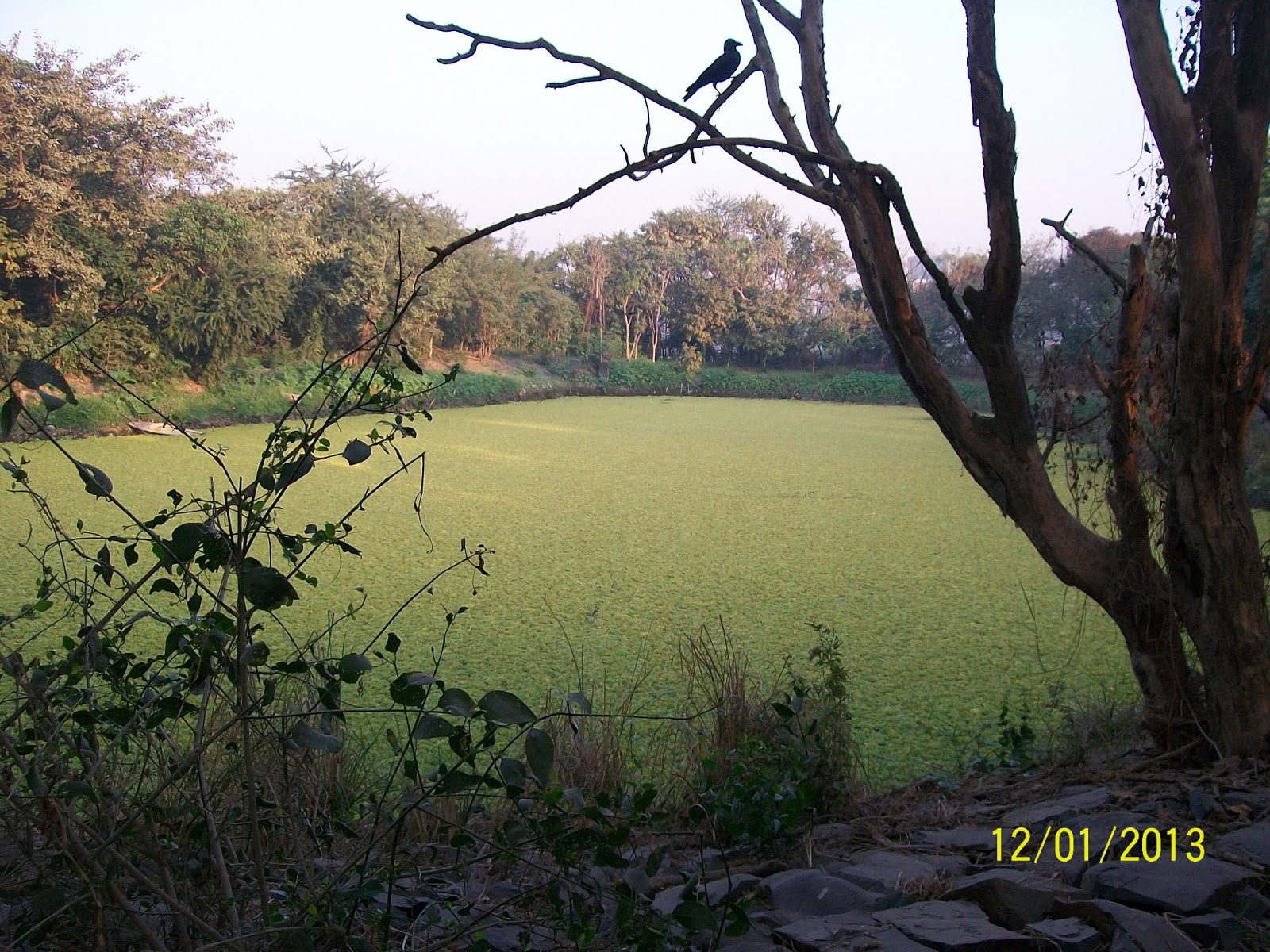 Insights into the life around; and beyond: Visit of Maharashtra Nature Park