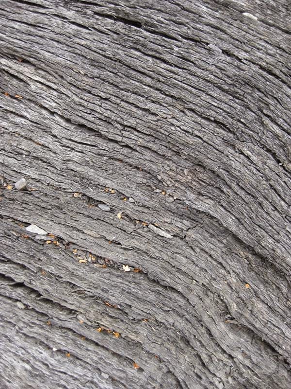 Handmade by Amo'r, Ireland: Bog Oak at Boora, Caught My Eye no. 33