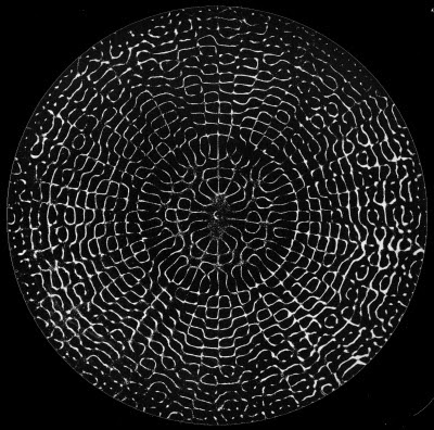 sit back.relax.enjoy the ride.