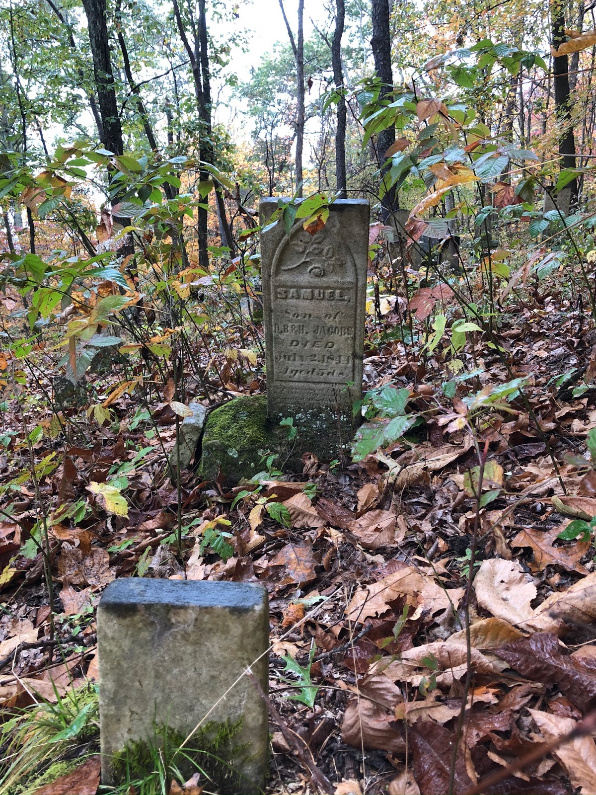 Snow and Jaggers: Chess Cemetery Discovery