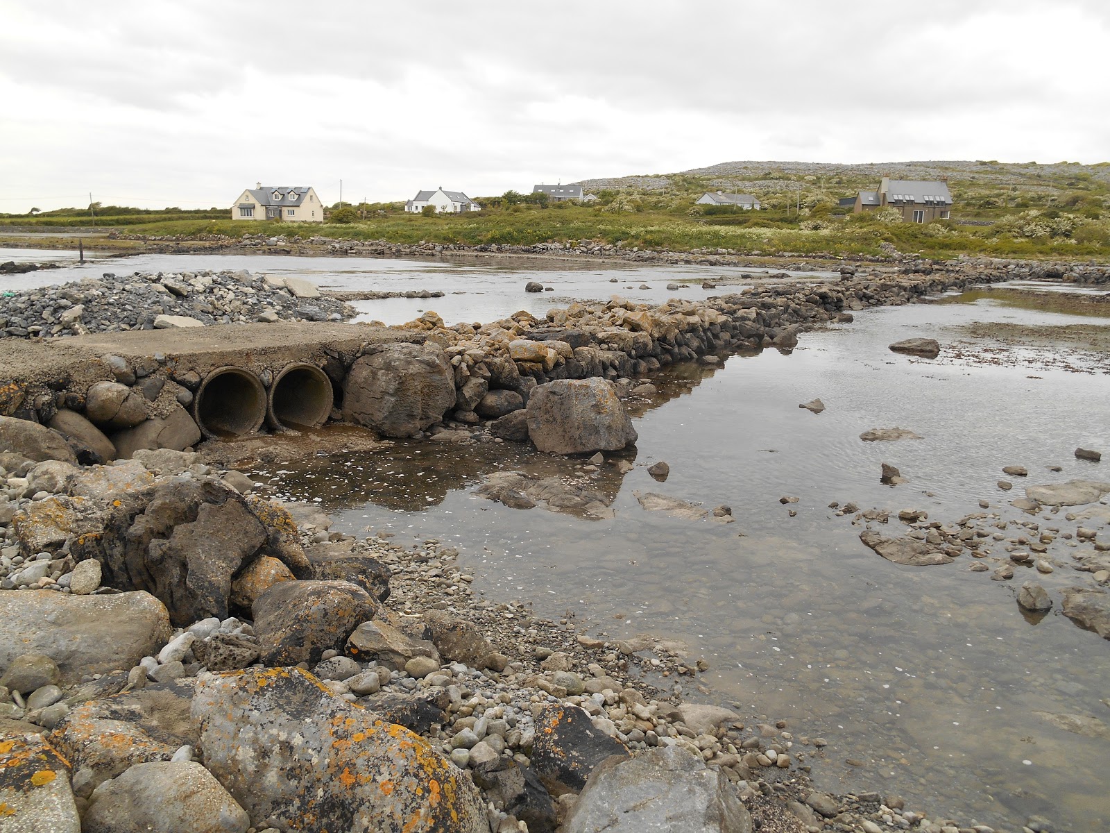 A lifetime of Islands: Island 361 - Scanlan's Island, County Clare