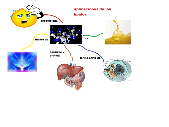 ESTRATEJIAS DE APRENDIZAJEmithzia