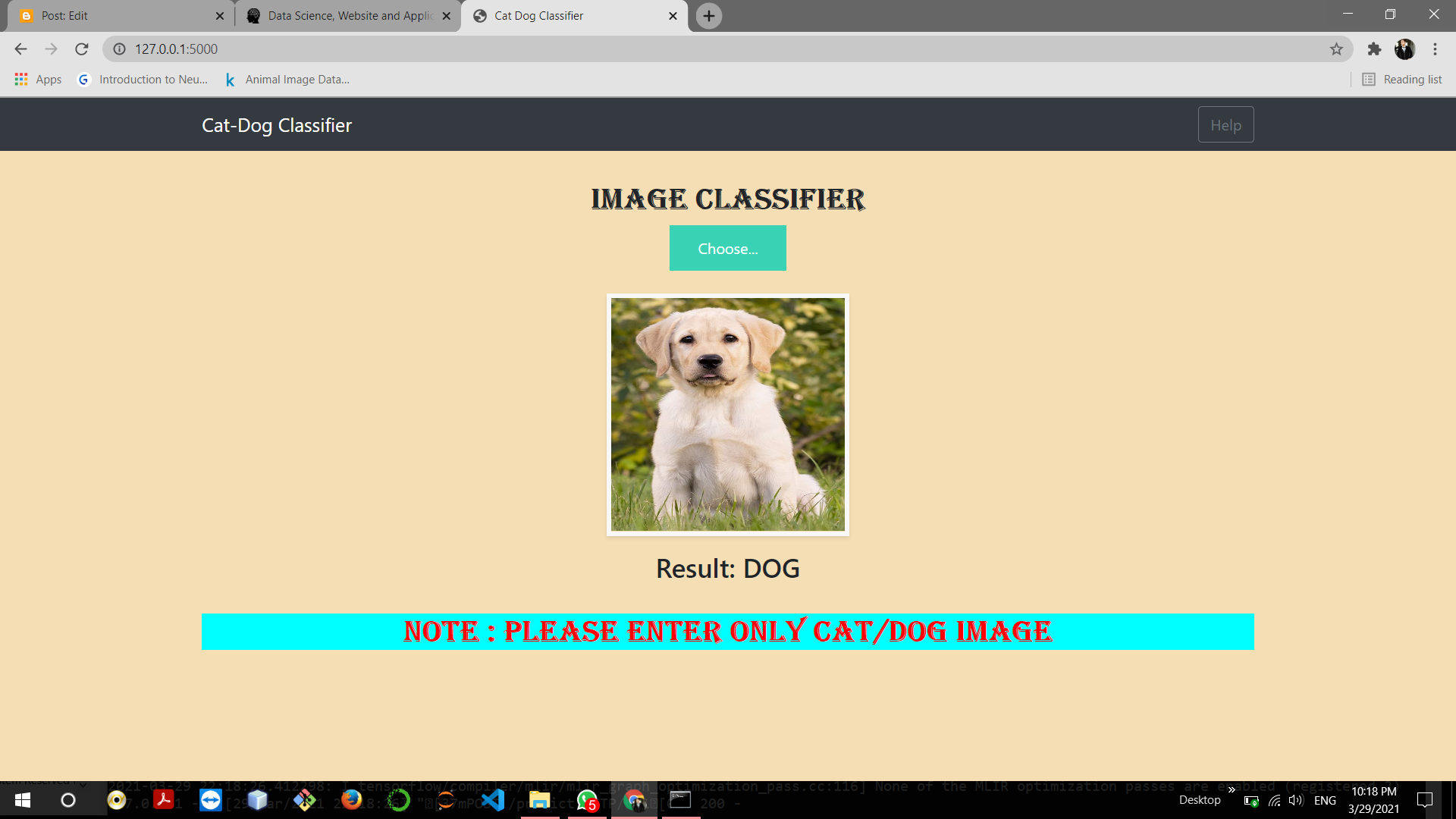 Cat vs Dog Classifier Deep Learning Project