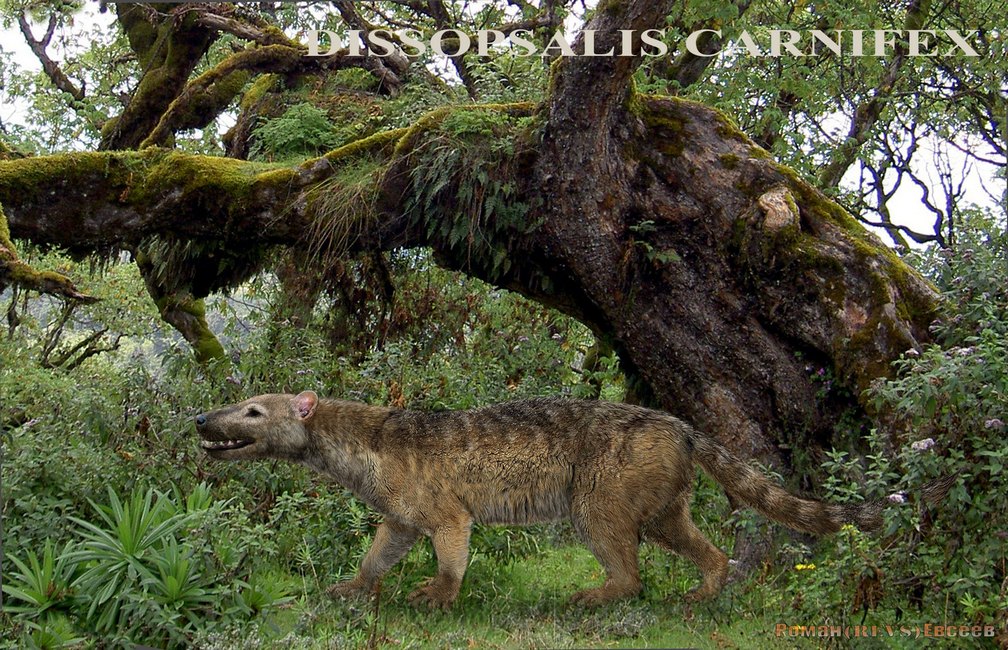 Escenarios prehistóricos: Dissopsalis