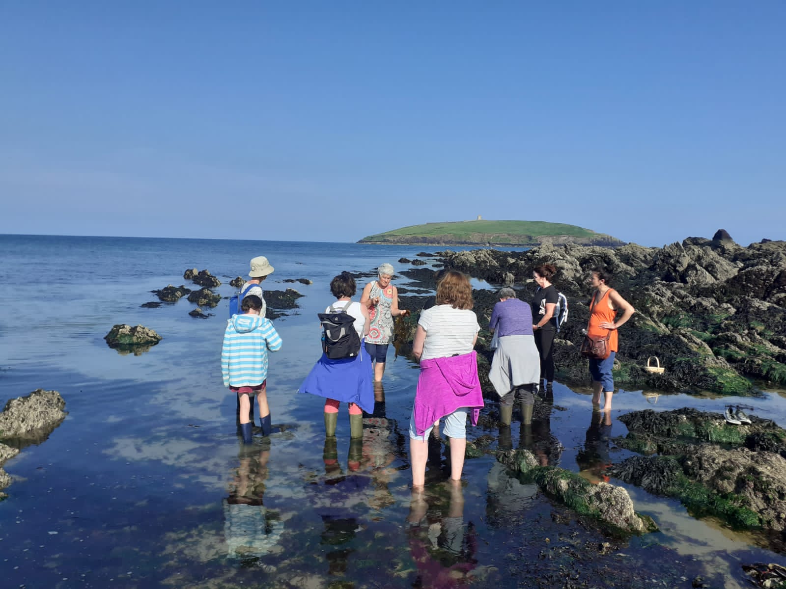 Seaweed Walk at Knockadoon – Youghal Blue and Green Community Network