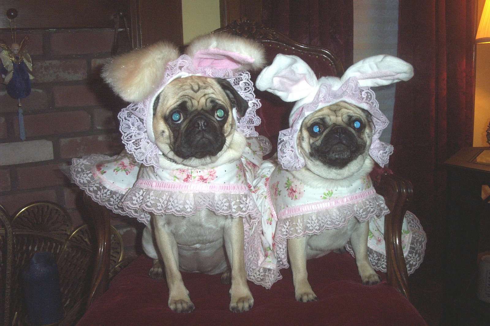 Pug Possessed: Happy Easter!
