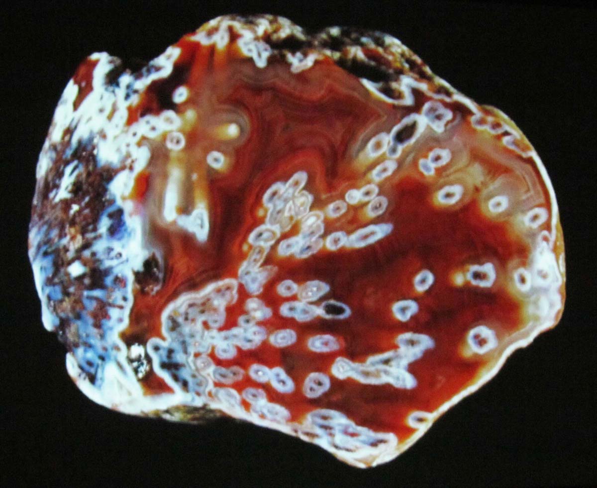 The Agatelady: Adventures and Events: The Celebration of Agates ...