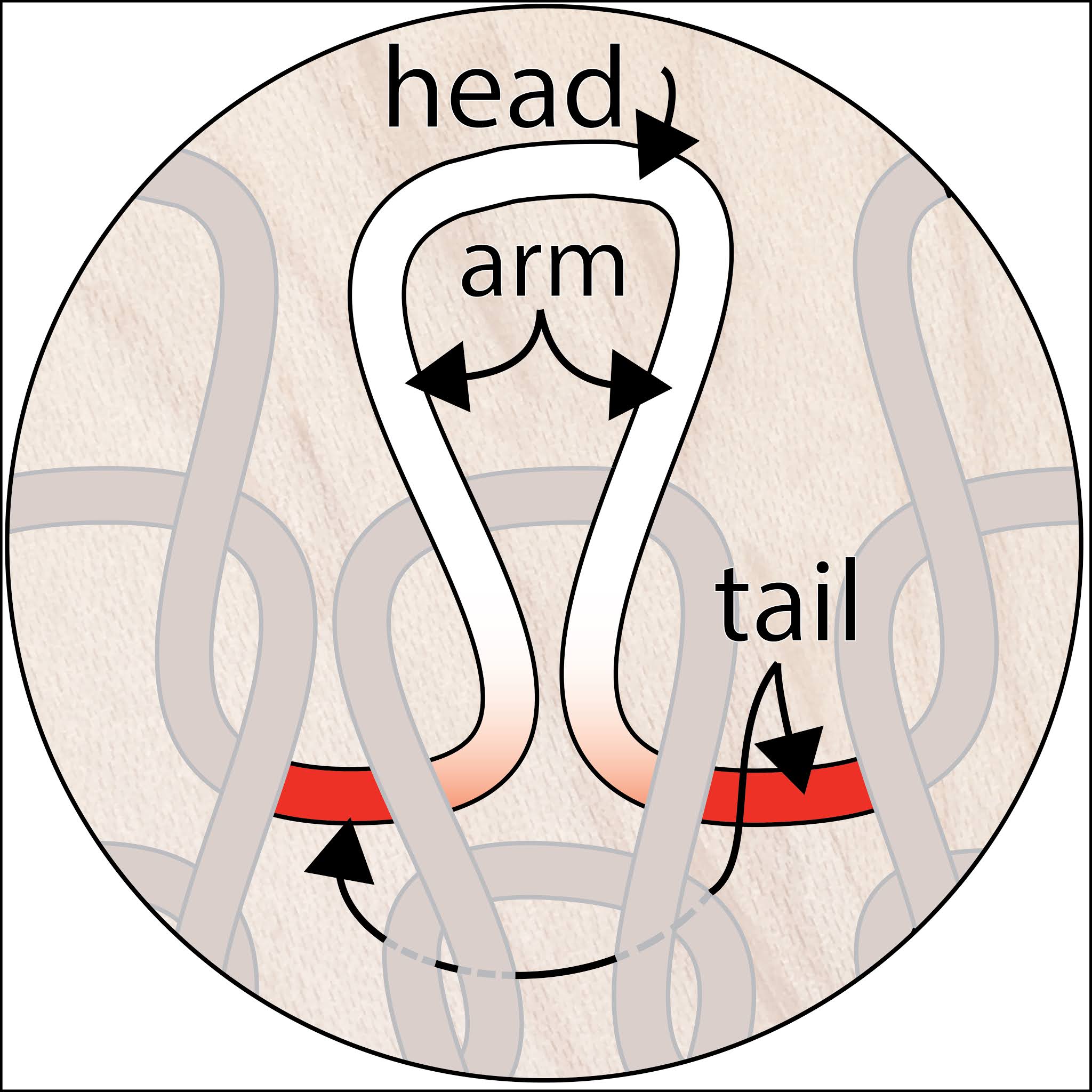 TECHknitting: Ribbing in hand-knitting: its structure + links to "after ...