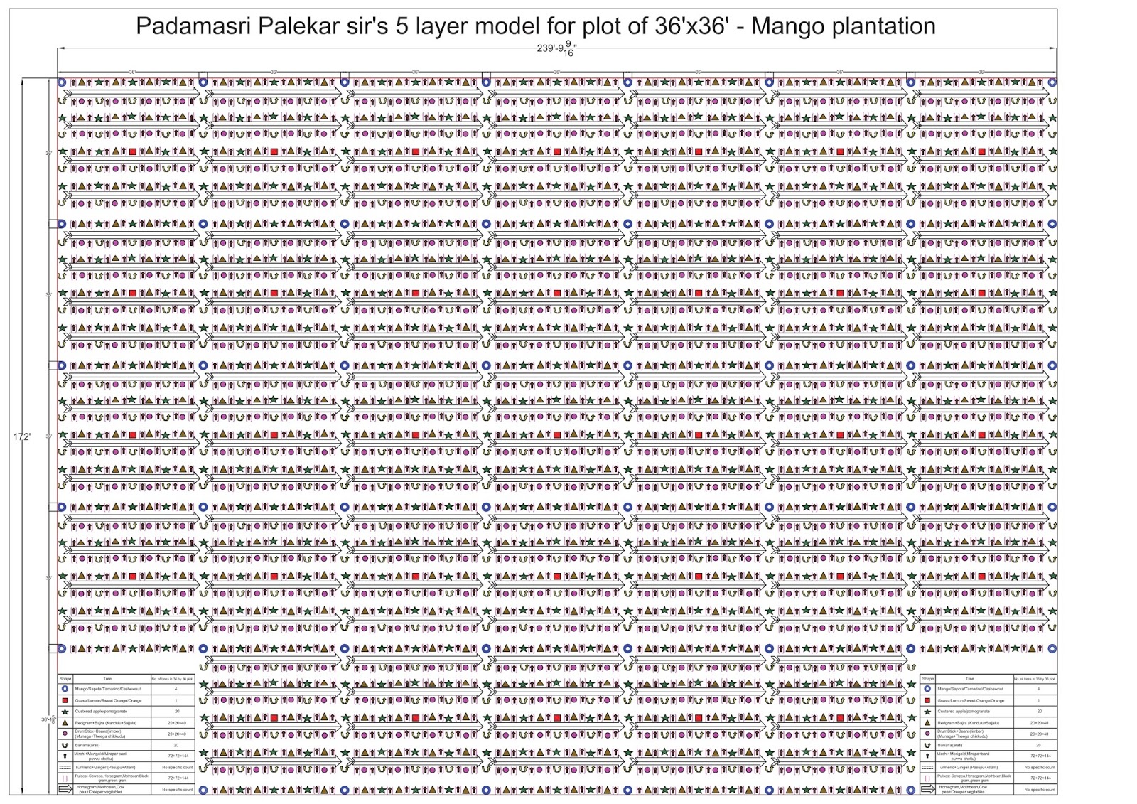 Five Layer Shri Palekar Ji Model - 36*36 model for full 1 acre