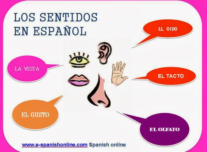 Η ΙΣΠΑΝΙΚΗ ΓΛΩΣΣΑ ΣΤΗΝ ΕΛΛΑΔΑ: LOS SENTIDOS EN ESPAÑOL