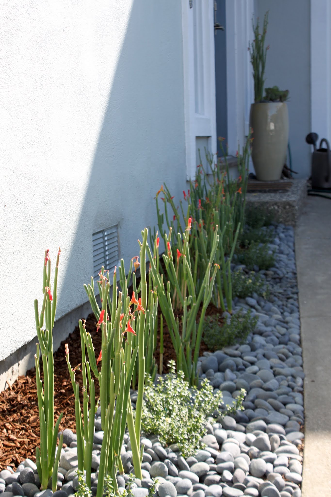 Planting a Narrow Space