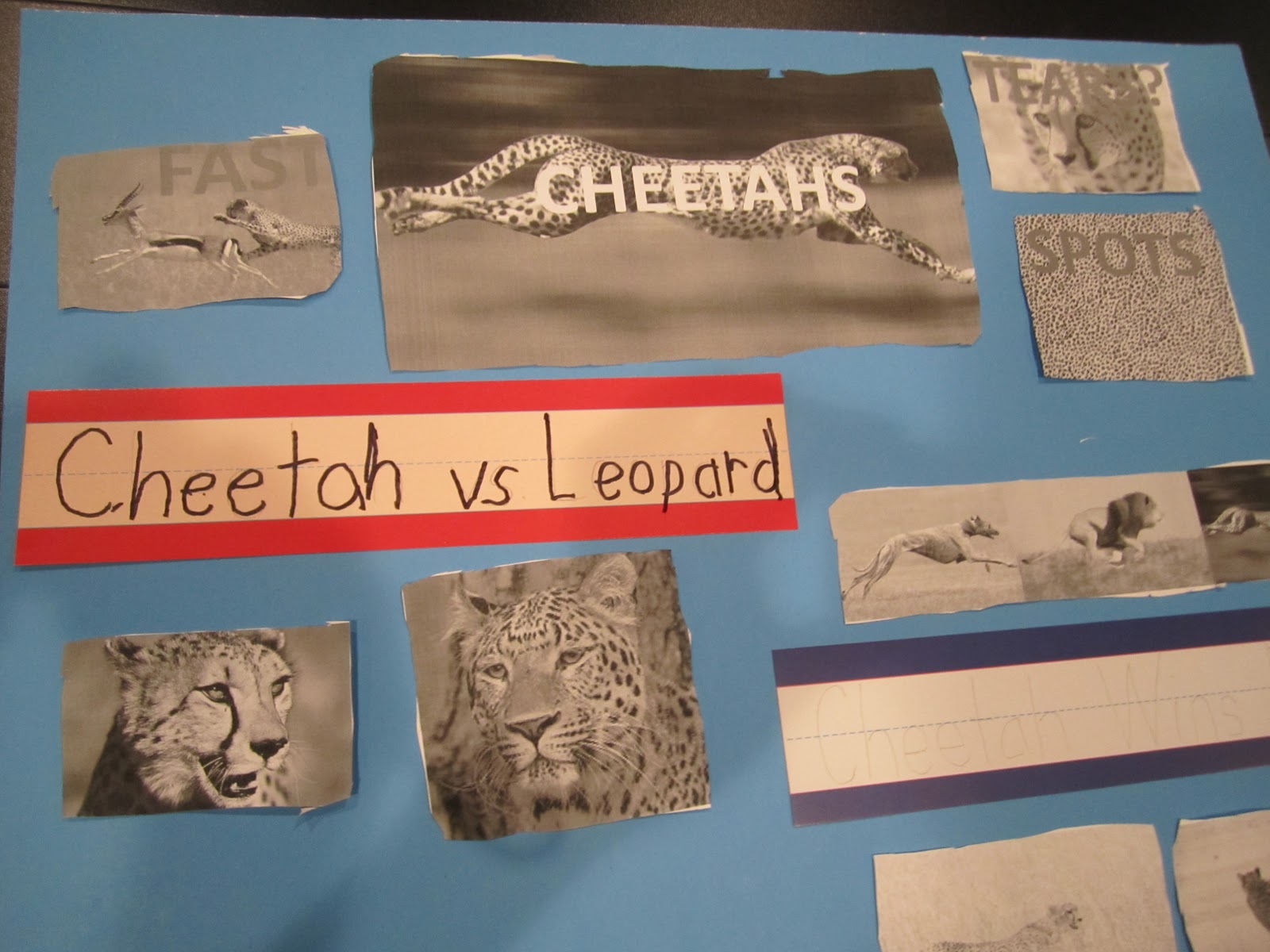 A Science Project in First Grade