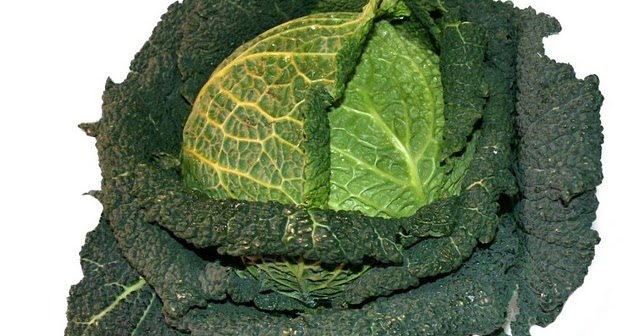 EL NACIMIENTO DE LA COL