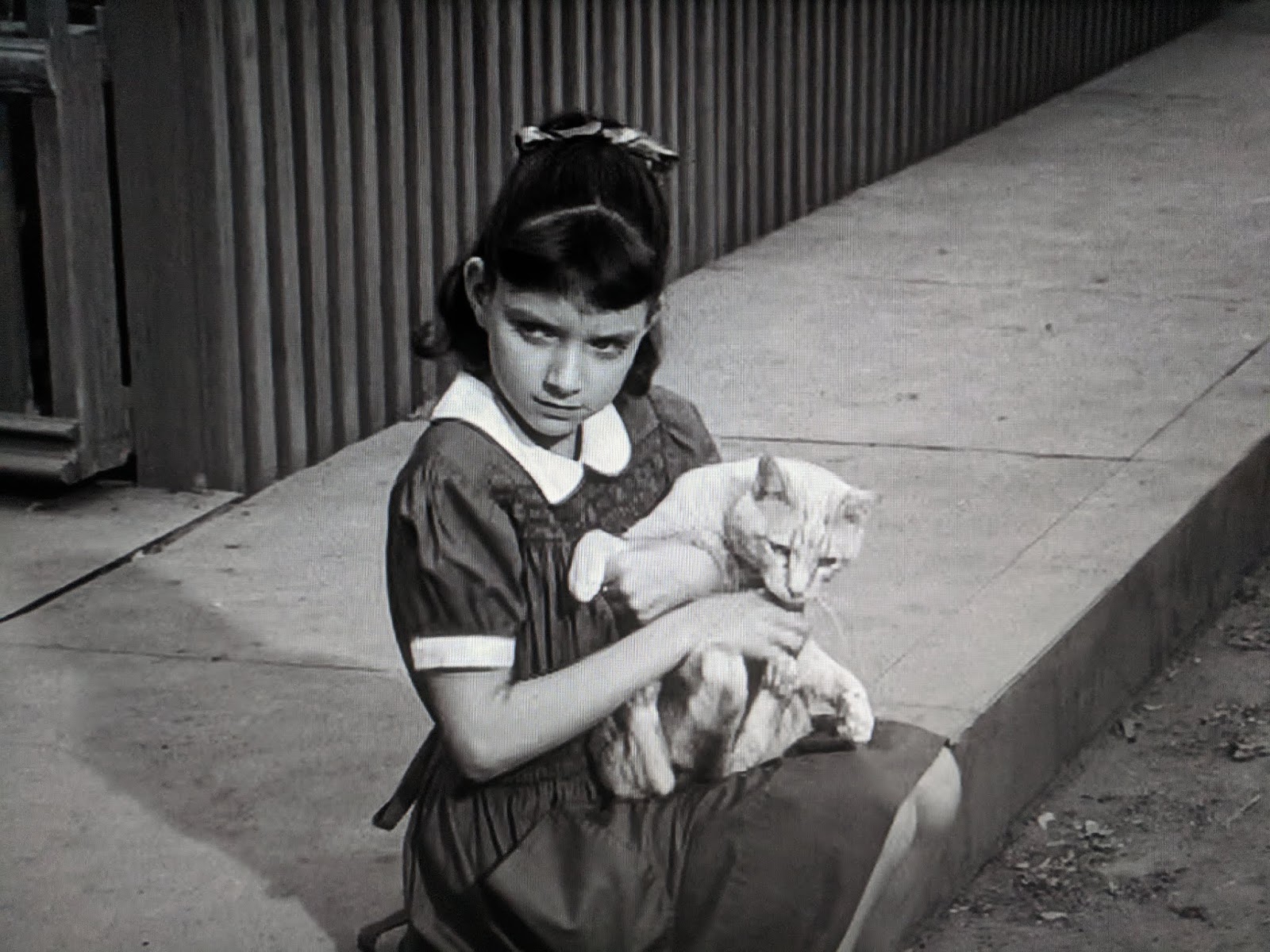 The Twilight Zone Vortex: "Valley of the Shadow"