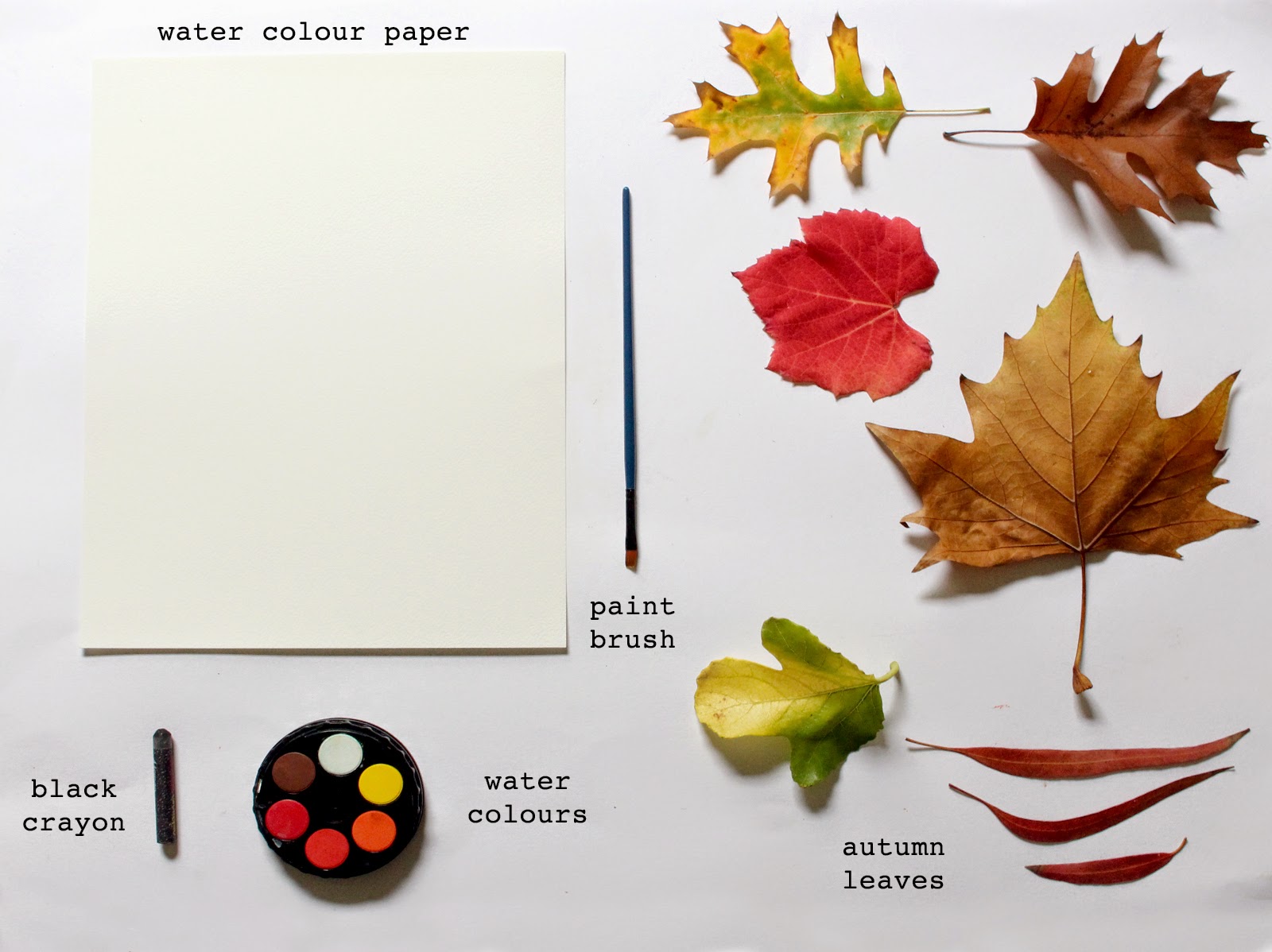 The Academy of Gentle Arts: abstract negative space autumn leaves