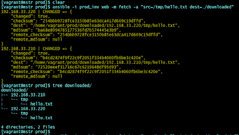 DevOps Hunter: Ansible 3 Exploring with file, copy, fetch modules