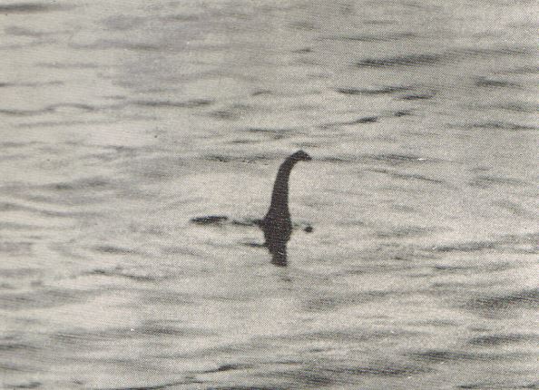 LOCH NESS MONSTER: Back to the Surgeon's Photograph