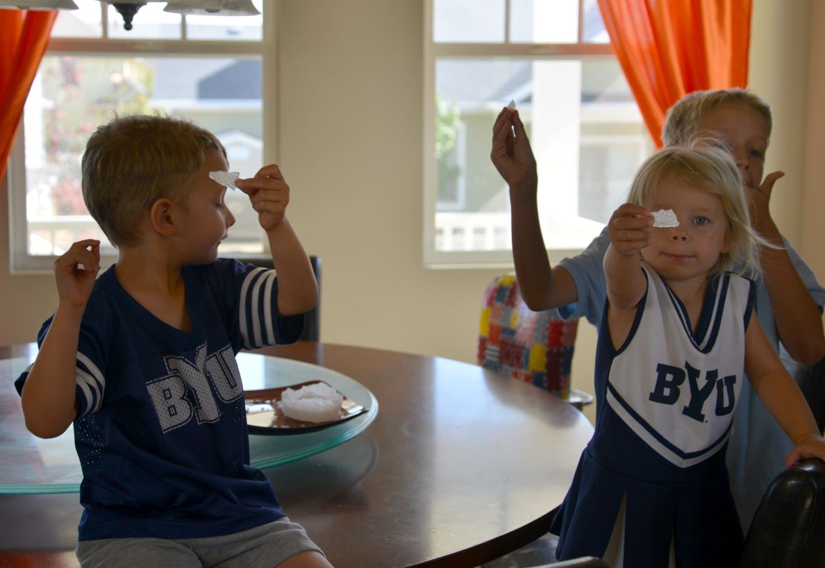 A school of fish: Volcano Unit Lesson Plan, Igneous Sugar, and Frosting ...