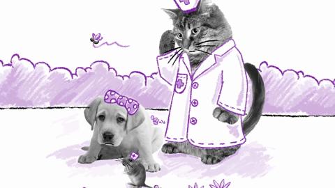 Los Mil Libros: Reseña de Dra. Kitty Cat al rescate: Lilly la perrita ...