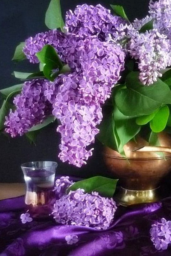 The Designer's Muse: Color Inspiration: Lilac