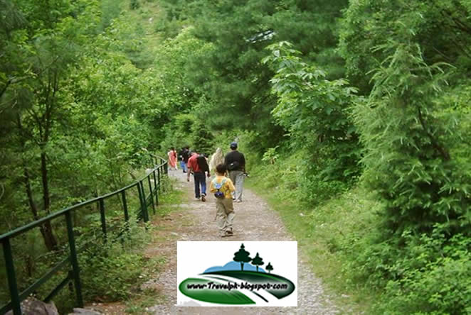 Ayubia an awe-inspiring Hill Station and summer resort in Pakistan ...