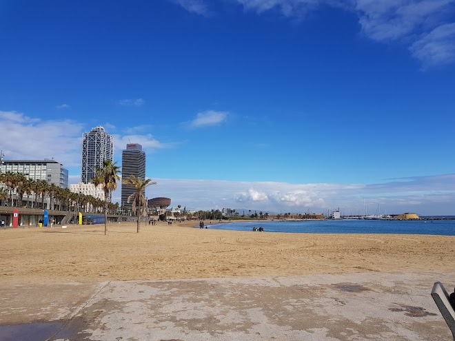 A trip to Sirmione to discover its ancient origins