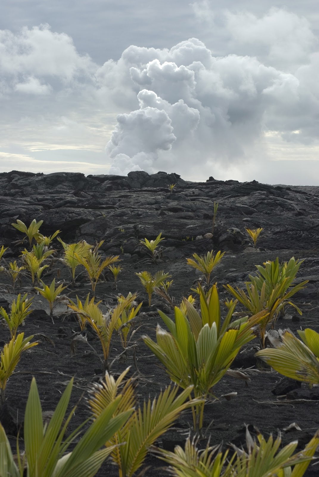 The Amazing and Diverse Landscapes of Costa Rica: Hydrology and Soil of ...