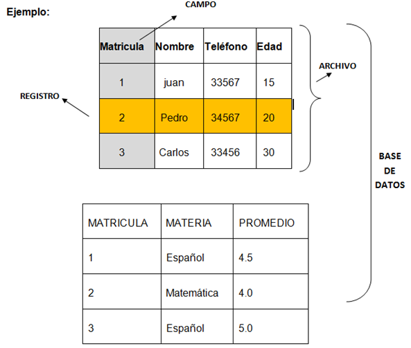 GUIAS DE APRENDIZAJE DE INFORMATICA : BASE DE DATOS