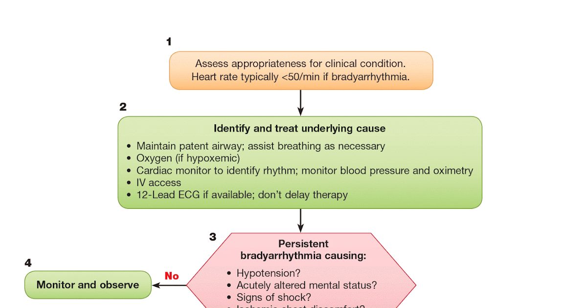 ER goldbook: Bradycardia with pulse