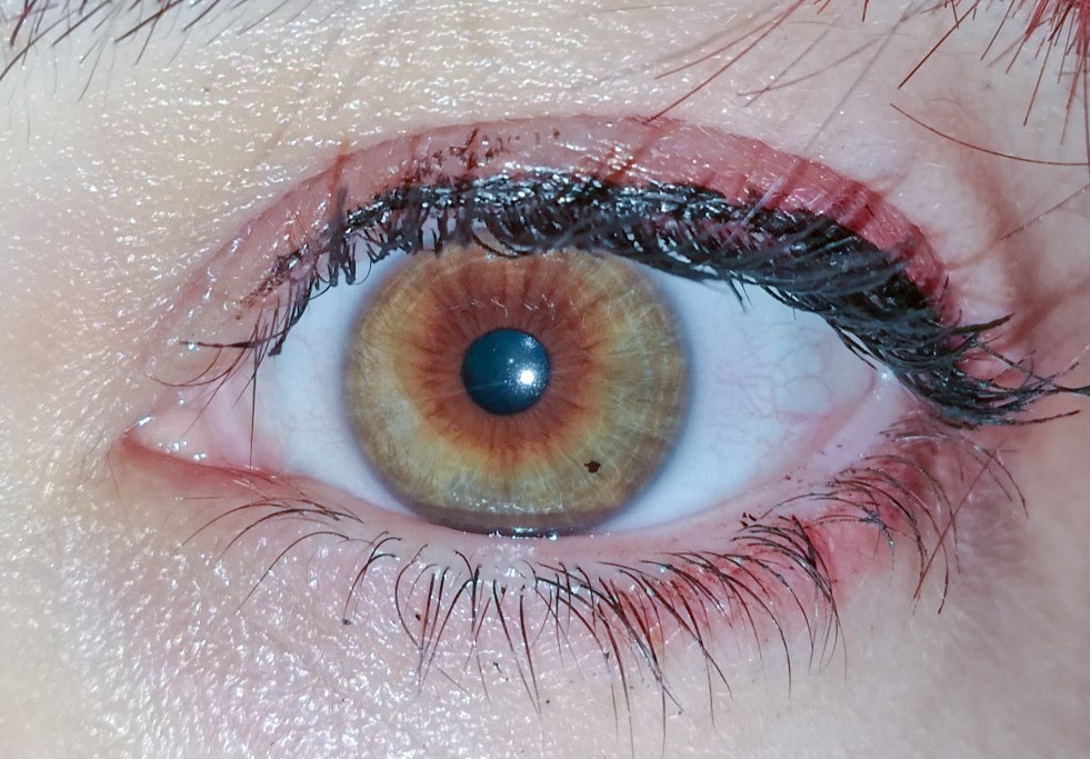 Ojos Color Miel O Avellana