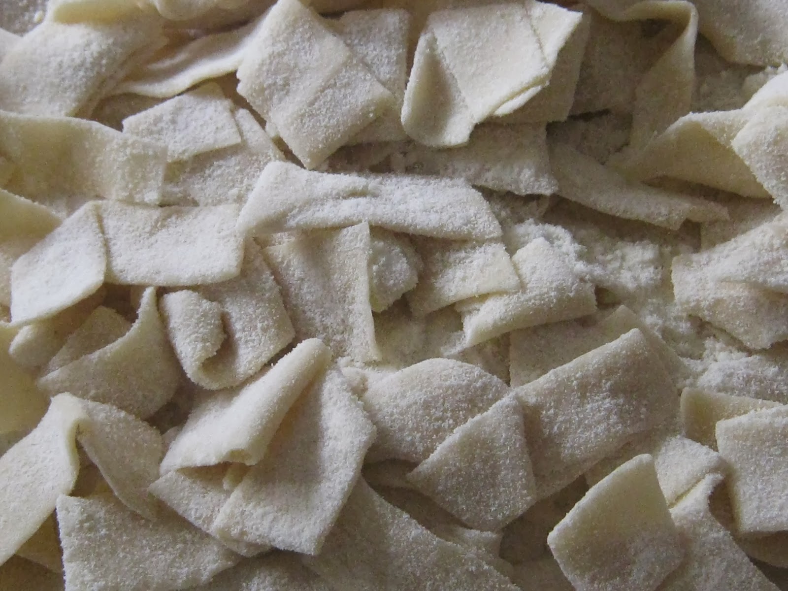 La Fata ai fornelli: Paste sarde - Pillus, antichi formati