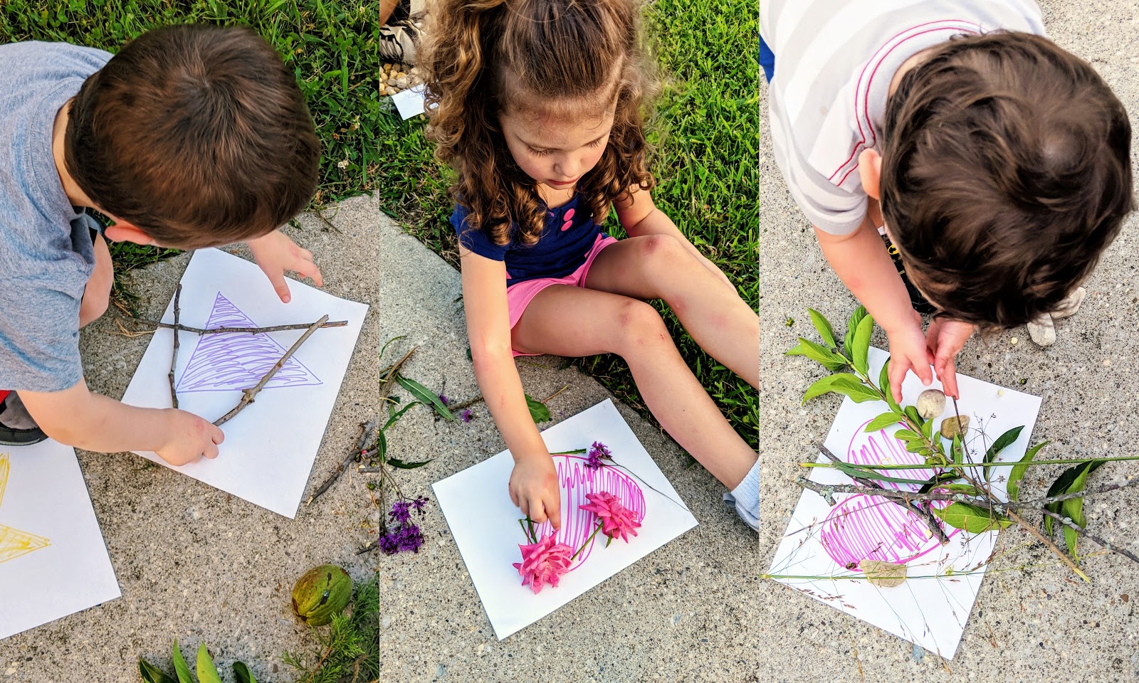 Shapes In Nature For Kids