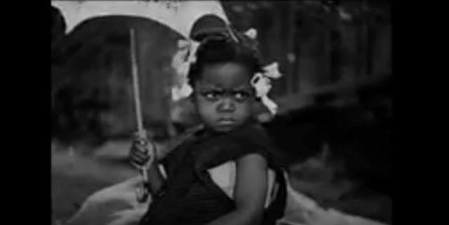 Buckwheat Kitchen Garden all about growing and using buckwheat : Two ...