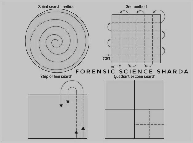 7 S's Of Crime Scene Investigation | Budding Forensic Expert
