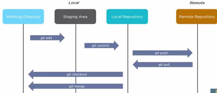 Introduction to Git - New Technology