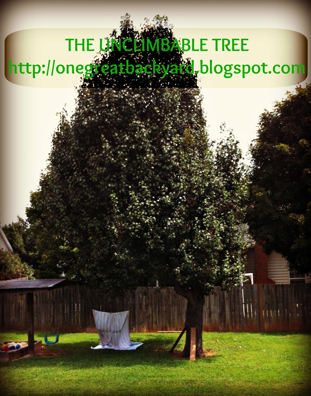 One Great Backyard: Get Outside and Play: The Unclimbable Tree