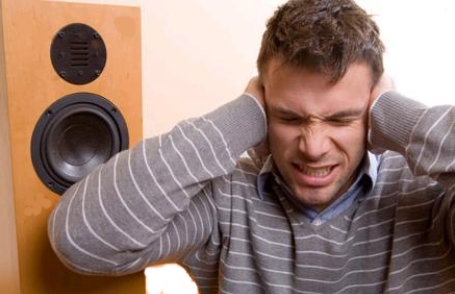 contaminacion por ruido: EFECTOS DEL RUIDO