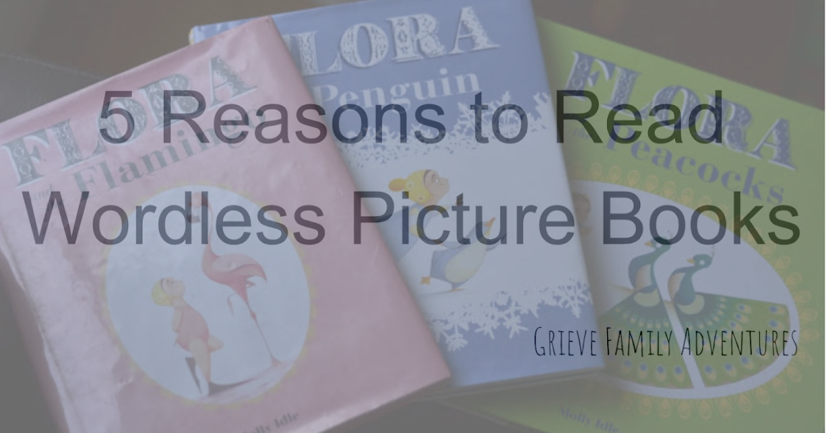 Top 5 Reasons to Read Wordless Picture Books with Kids