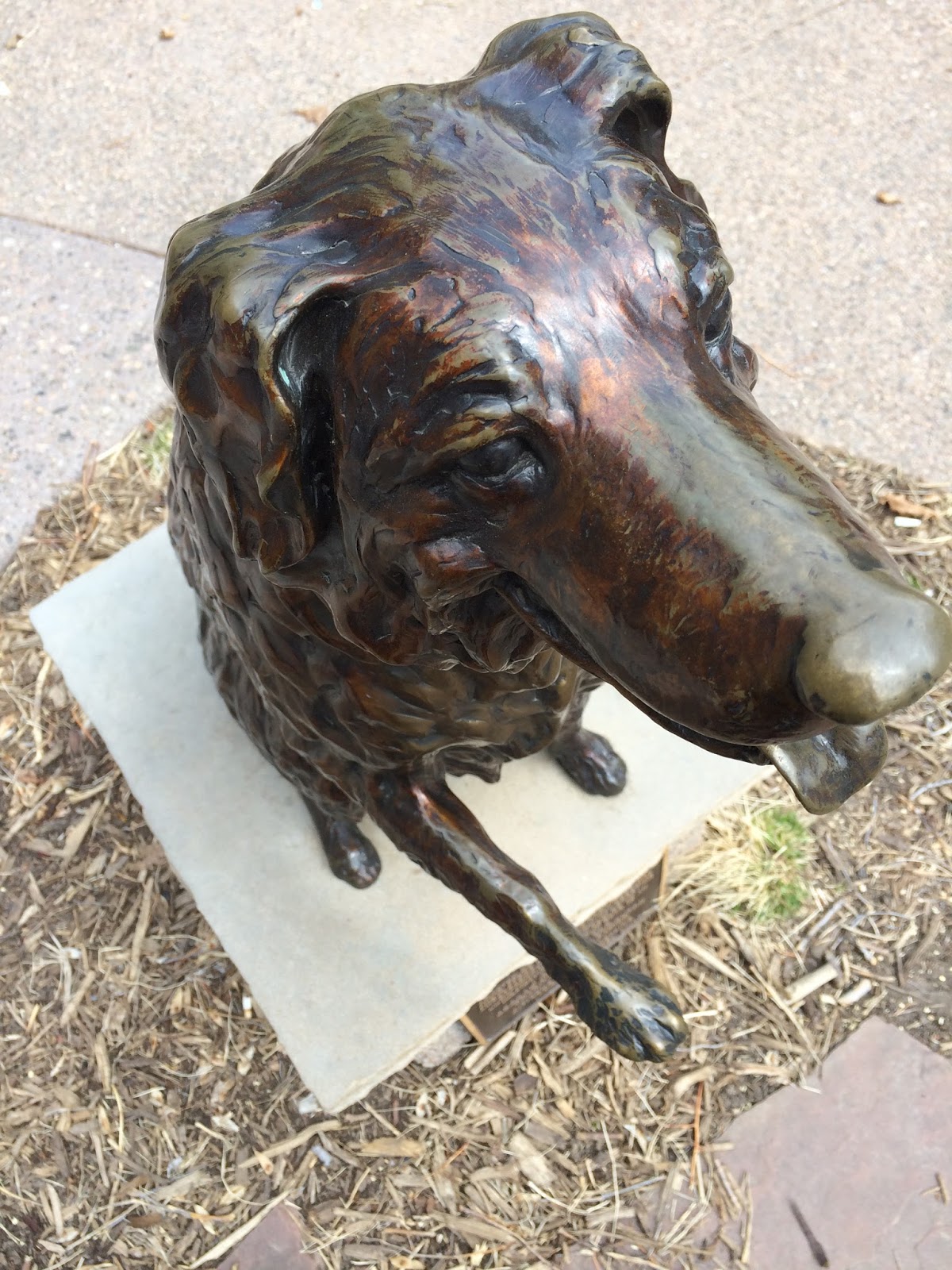 Annie the Railroad Dog Ft. Collins CO, USA