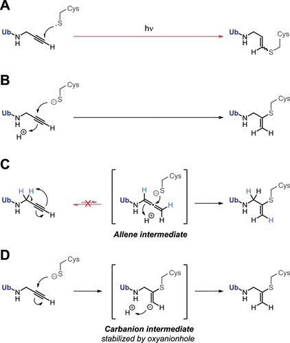 Covalent Modifiers: Exploring the Versatility of the Covalent Thiol ...