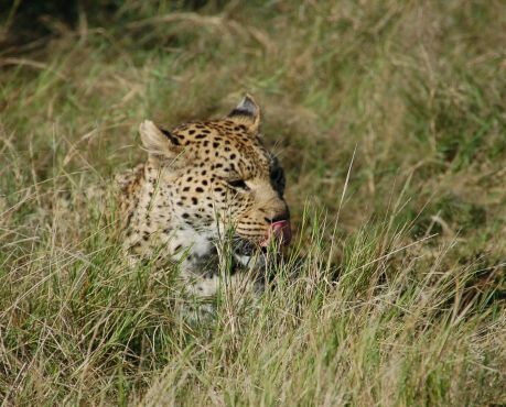 Rela's Journal: Out of Africa