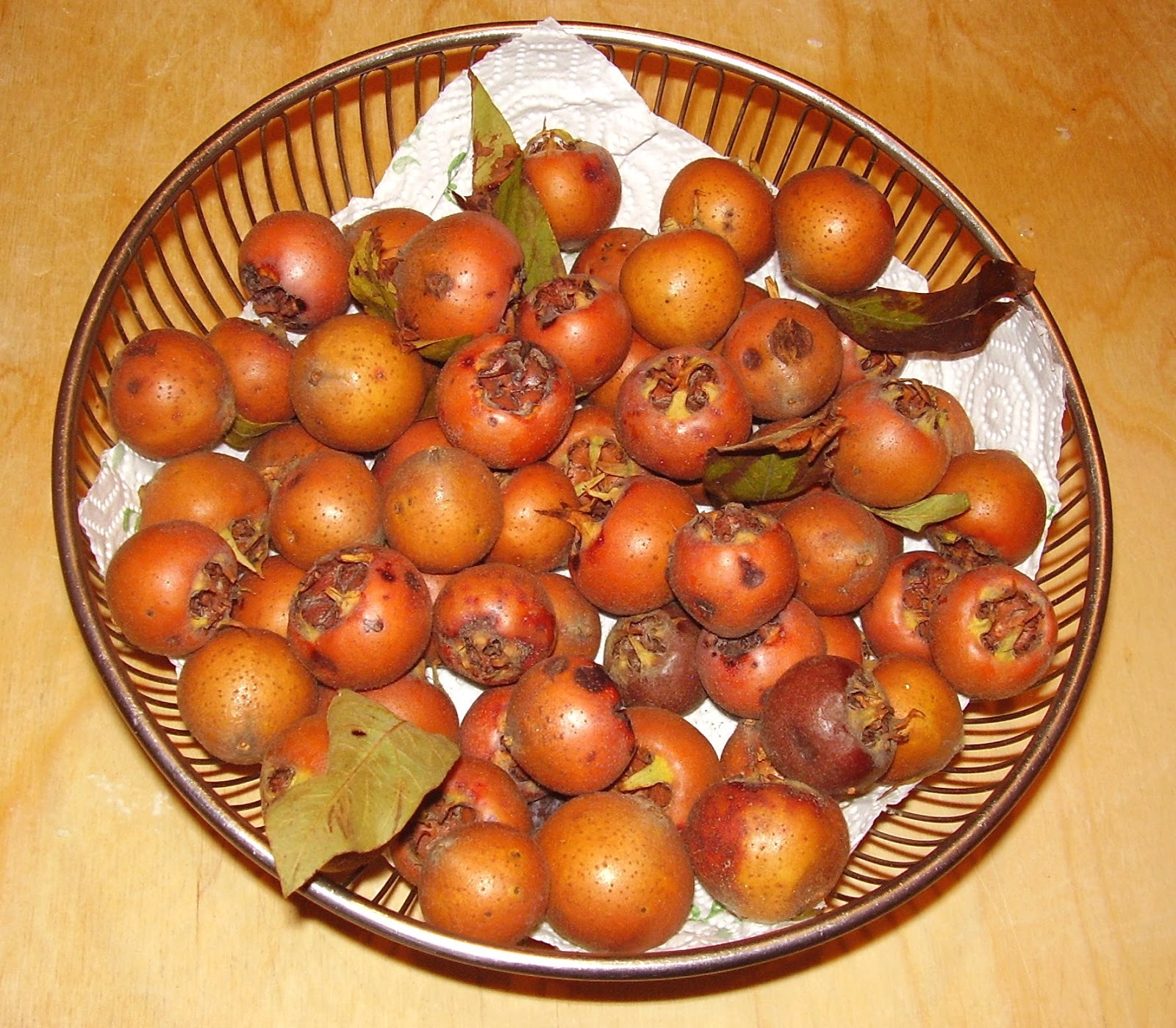 VeryCountryPeople: Nespole comuni - un frutto antico