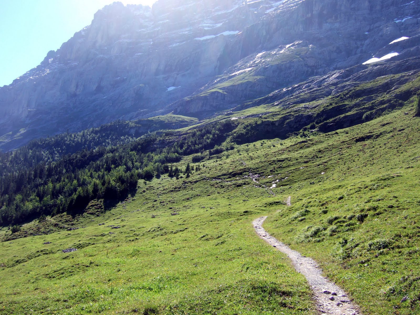 Alpine Trails: Grindelwald to Zermatt - Walking From the Eiger to the ...