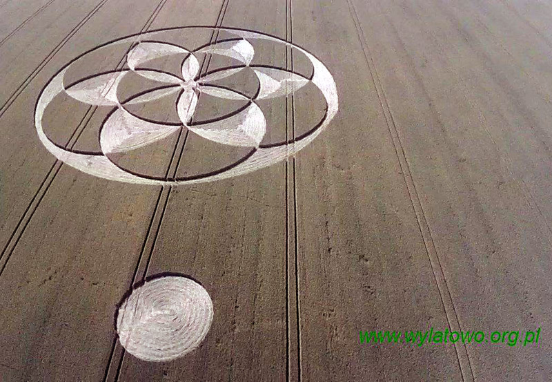 Augureye Express: 2015 Crop Circle Gallery