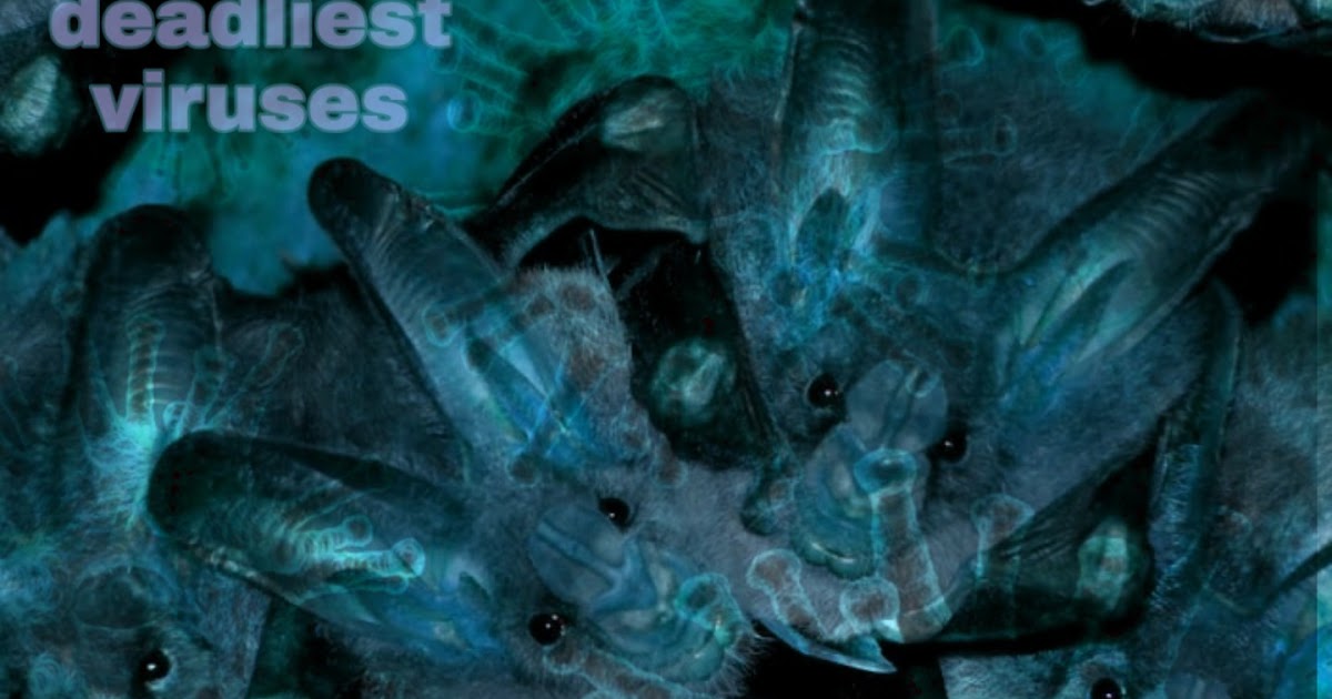 ORIGIN OF DEADLIEST VIRUSES (COVID-19,EBOLA,SARS AND MERS) - Mad facts hub