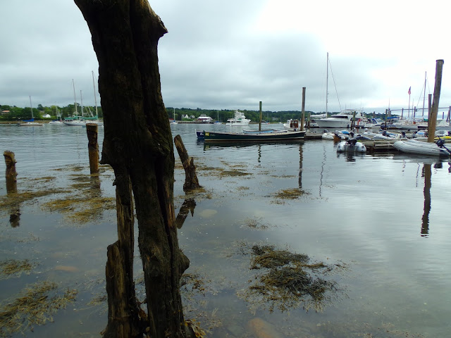 Harbor Walk Belfast, Maine